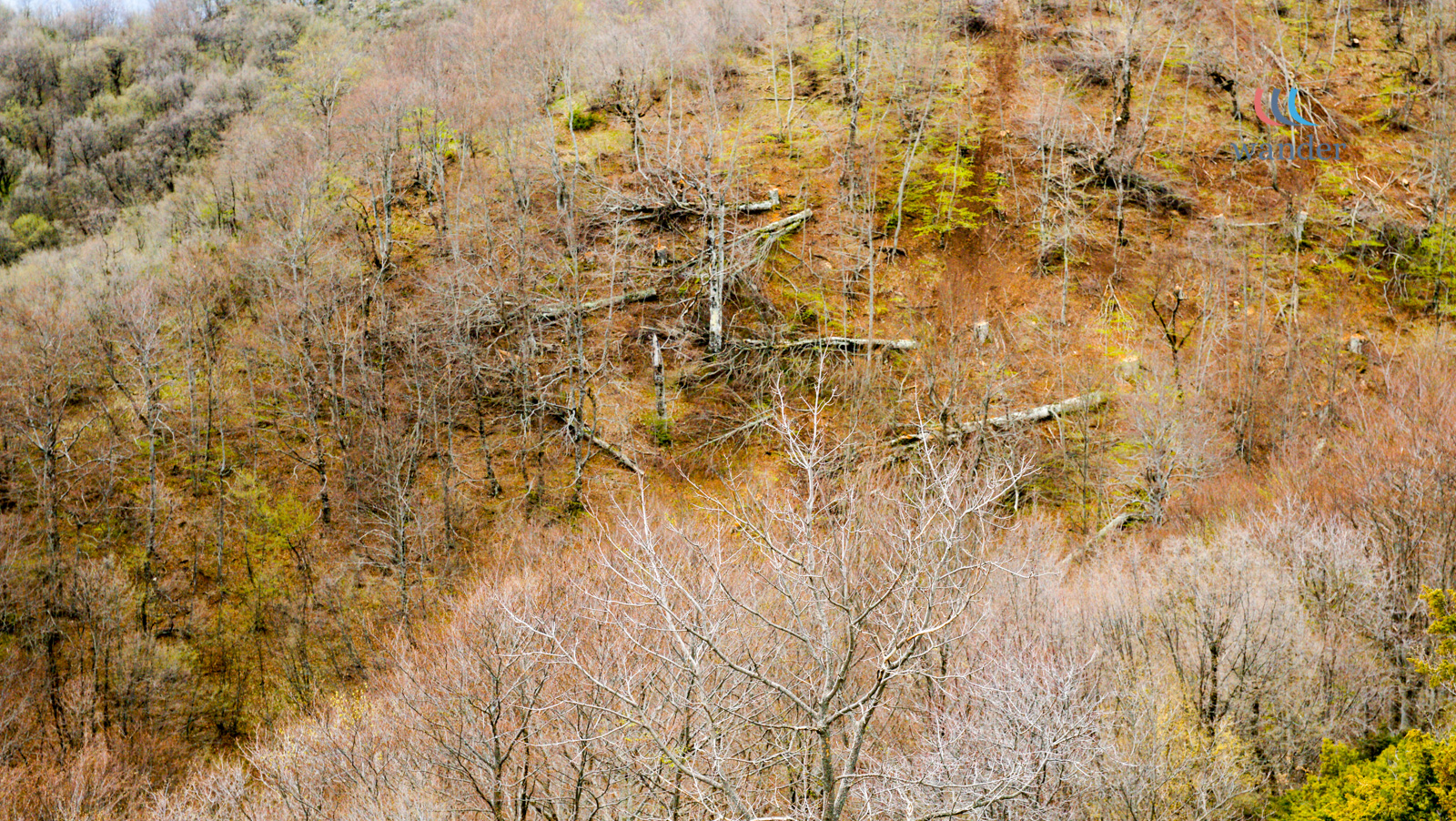 Taulanti Tour - Wander - Explorez l'Albanie grâce à nos Tours
